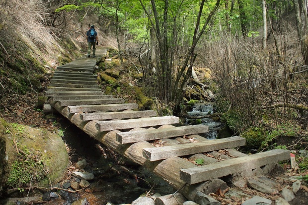 P5261157 - 埼玉からの山歩き